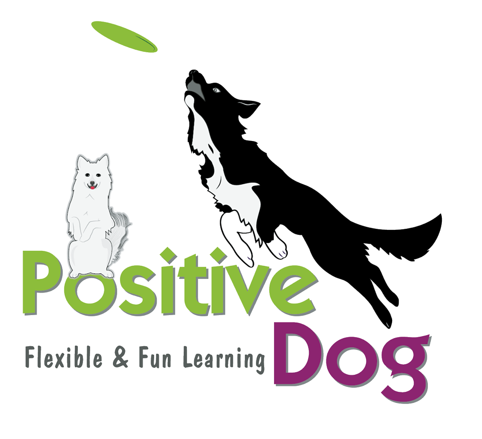 Dogs Who Bite - Rehoming and Behavioural Euthanasia - Positive Dog Training